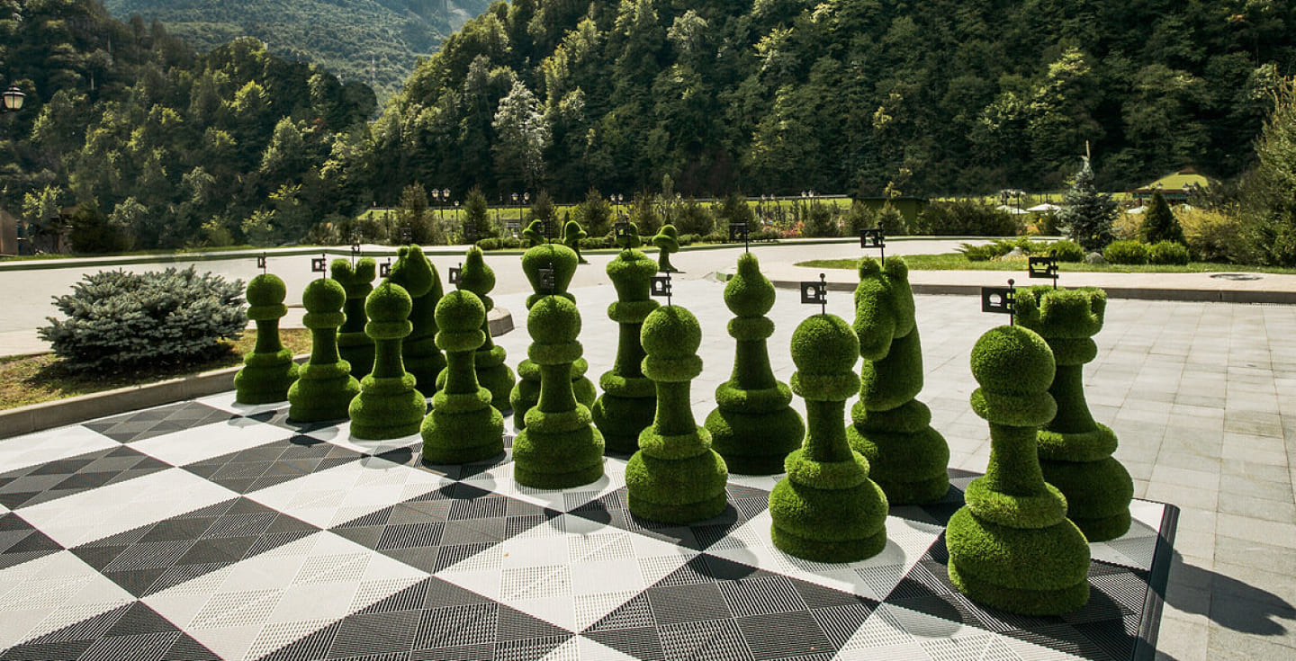 Topiaries for sale - Buy Topiary Online From Bacho Factory