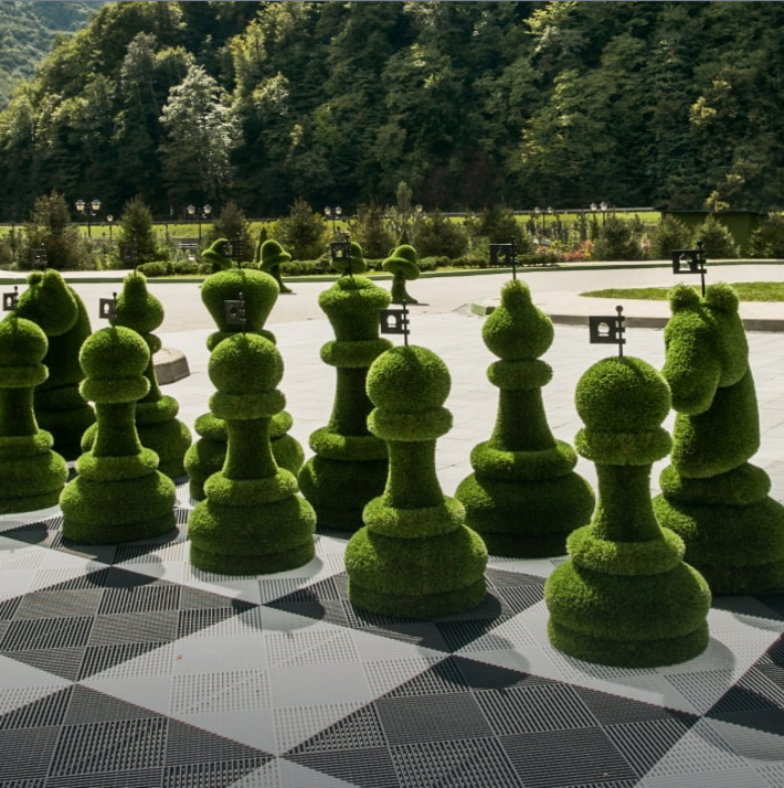 Topiaries for sale - Buy Topiary Online From Bacho Factory